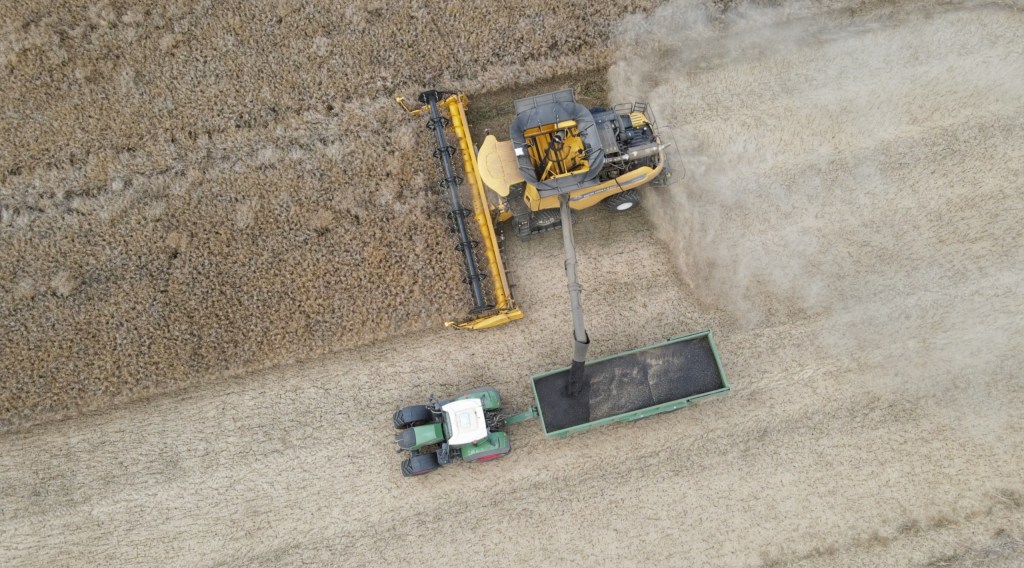 Combinable Crops – YAZOR COURT