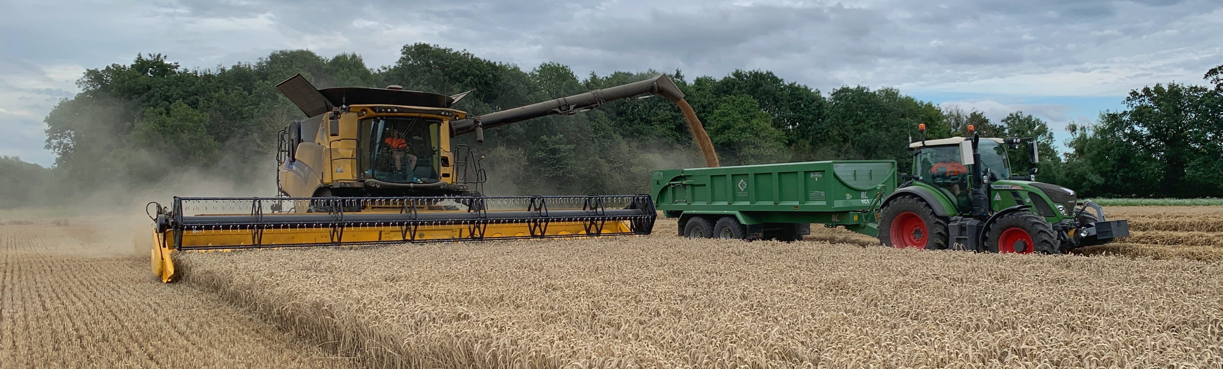 Contract Farming – YAZOR COURT